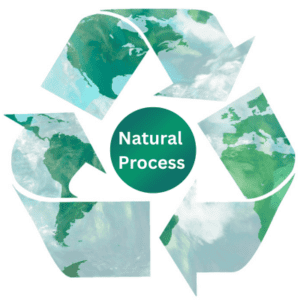 Burying a Body at Sea: Honoring the Departed in the Deep Waters